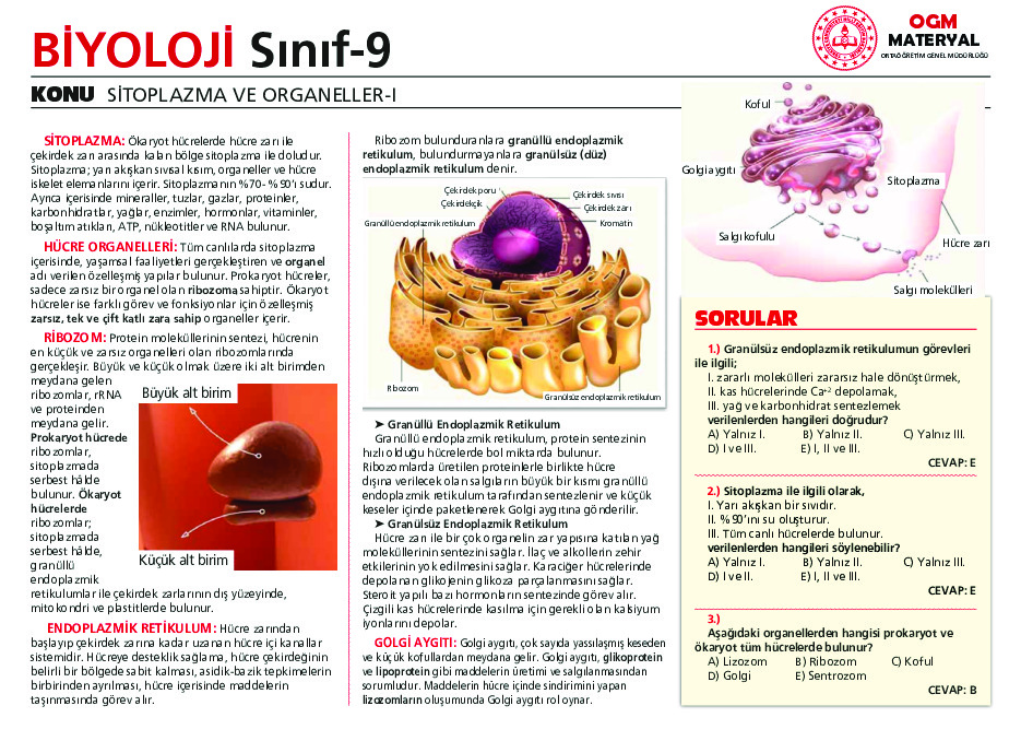9. Sınıf Biyoloji SİTOPLAZMA VE ORGANELLER 1 Konu Özeti - Derslig