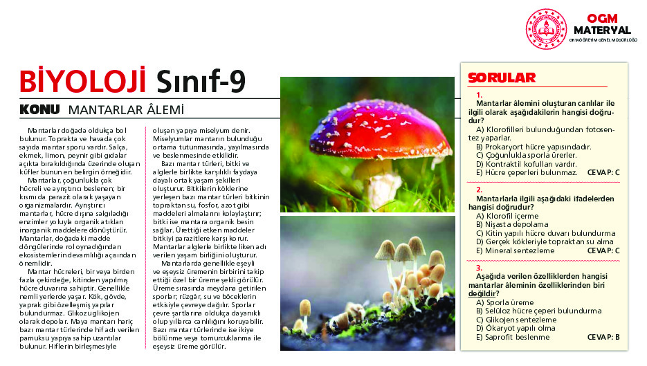 9. Sınıf Biyoloji MANTARLAR ALEMİ Konu Özeti - Derslig