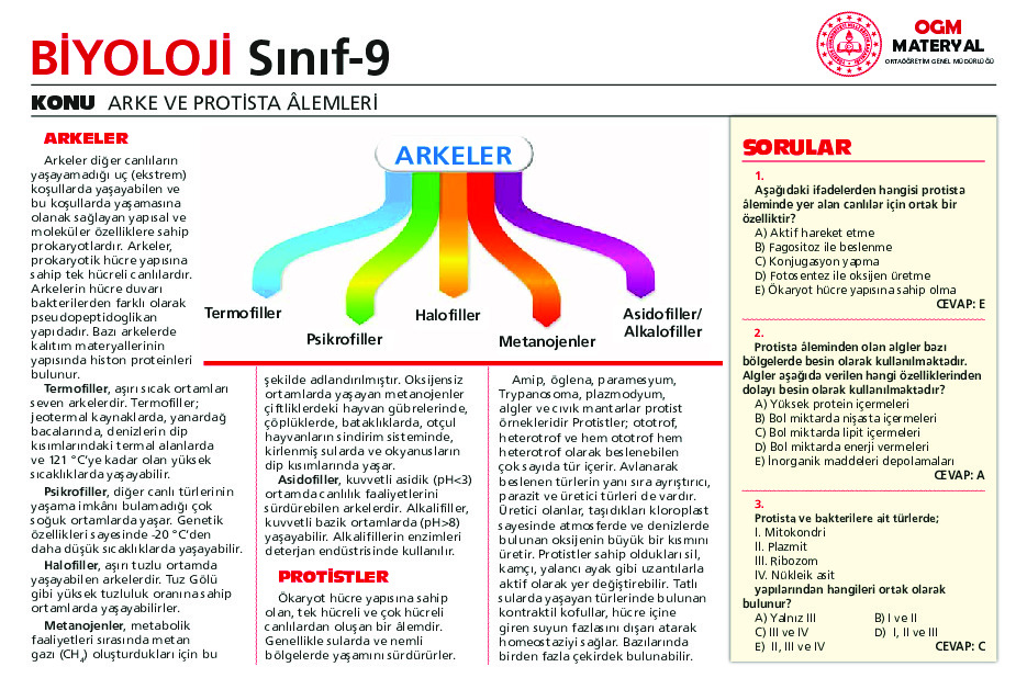 9. Sınıf Biyoloji ARKE VE PROTİSTA ALEMLERİ Konu Özeti - Derslig